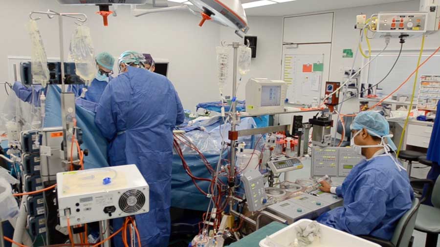 The Perfusionist’s Role in Patient Blood Management - Patient Blood ...