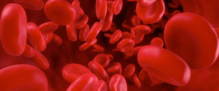 Patient Advice - Patient Blood Management